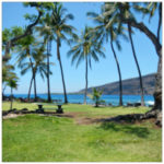 Manini Beach: Stunning Beauty in South Kona